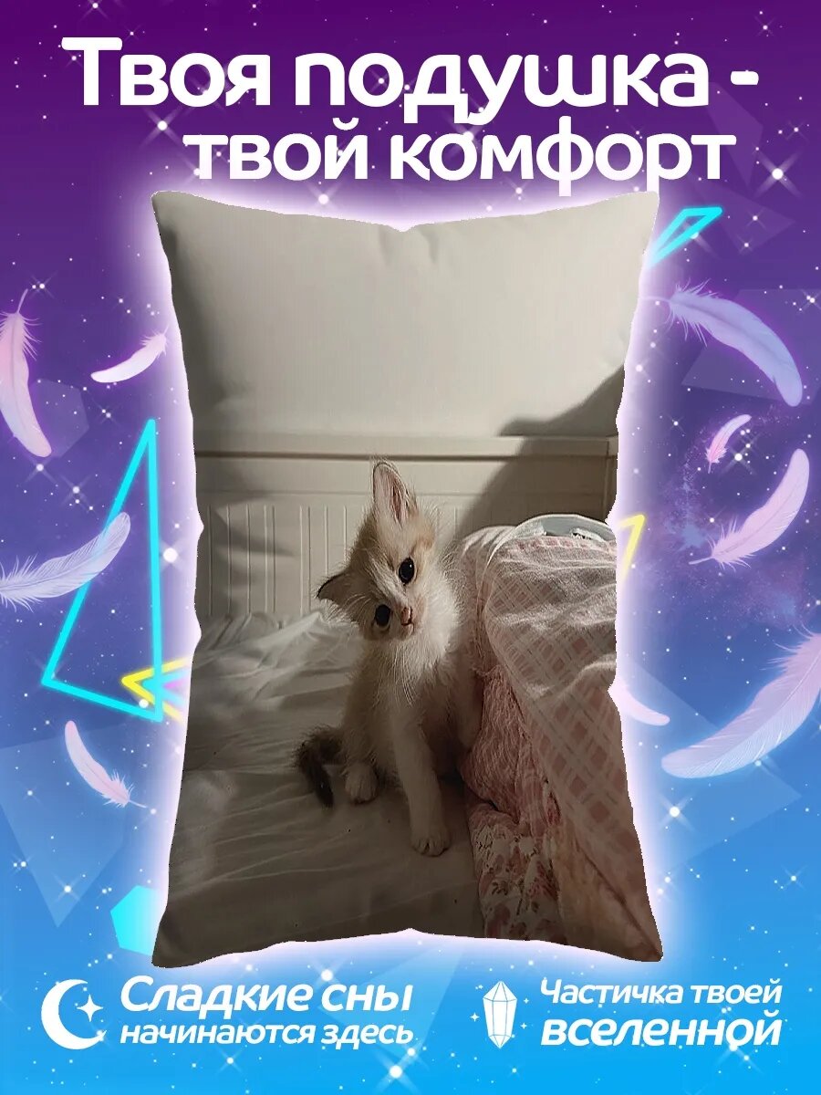 Подушка дакимакура Котёнок на кровати