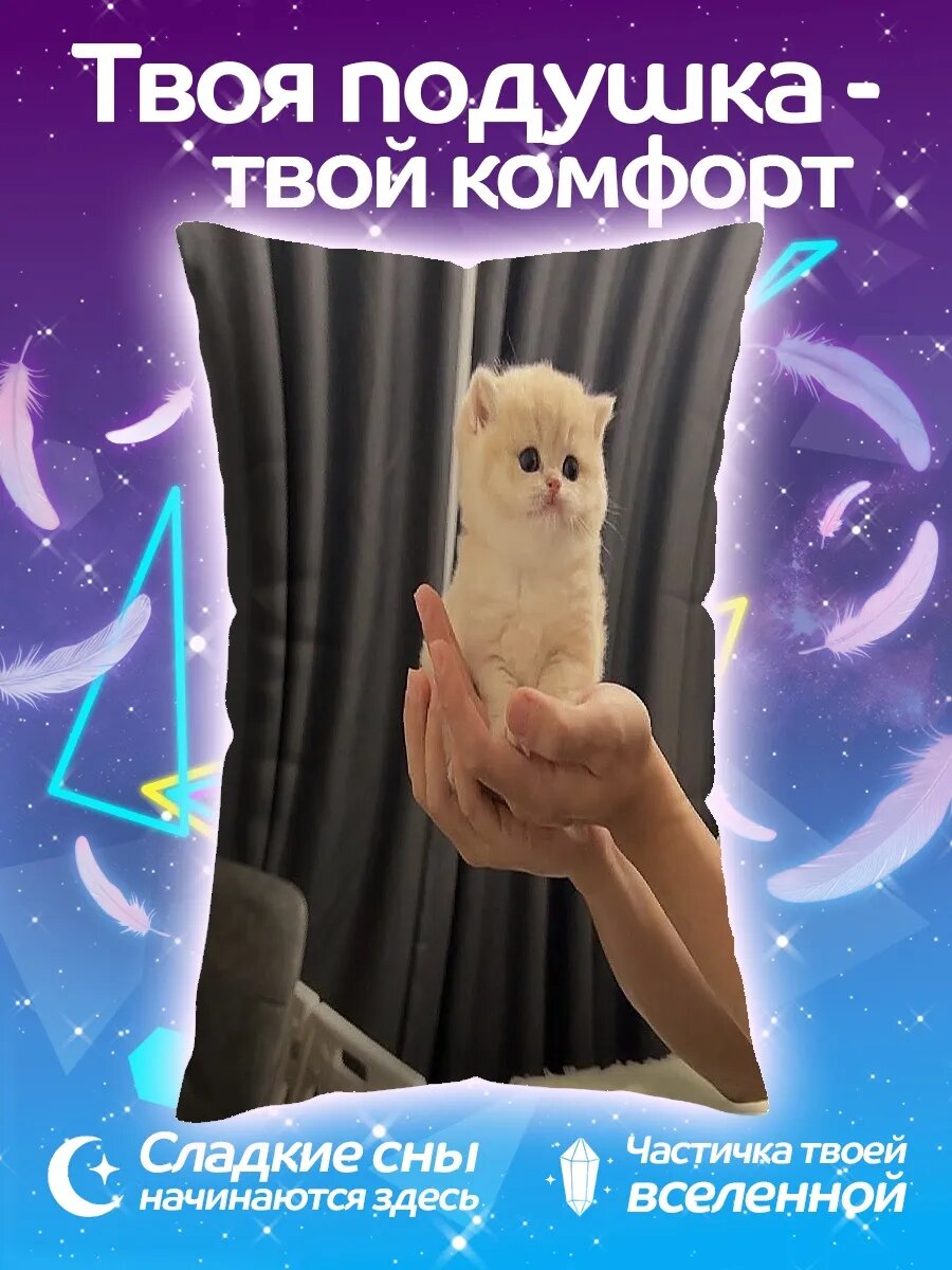 Подушка дакимакура Милый котенок в руках