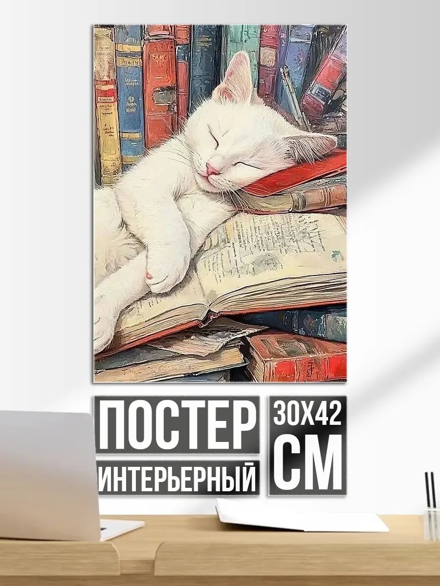 Плакат постер Белый кот спит на книгах