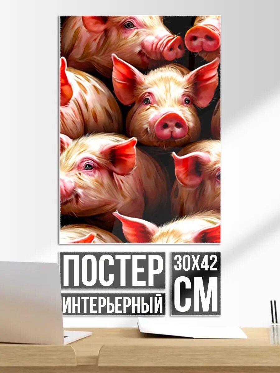Постер на стену Поросята