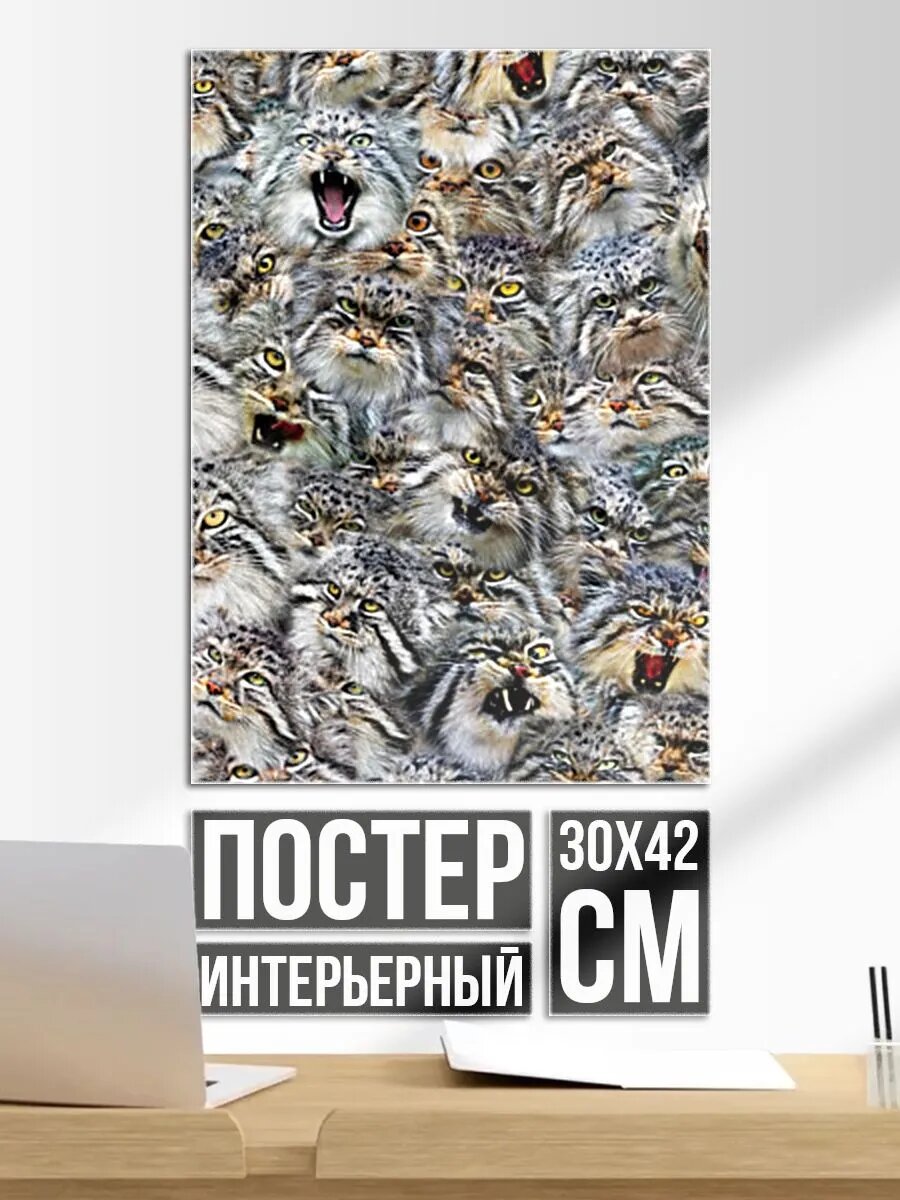 Постер на стену Погладь всех манулов