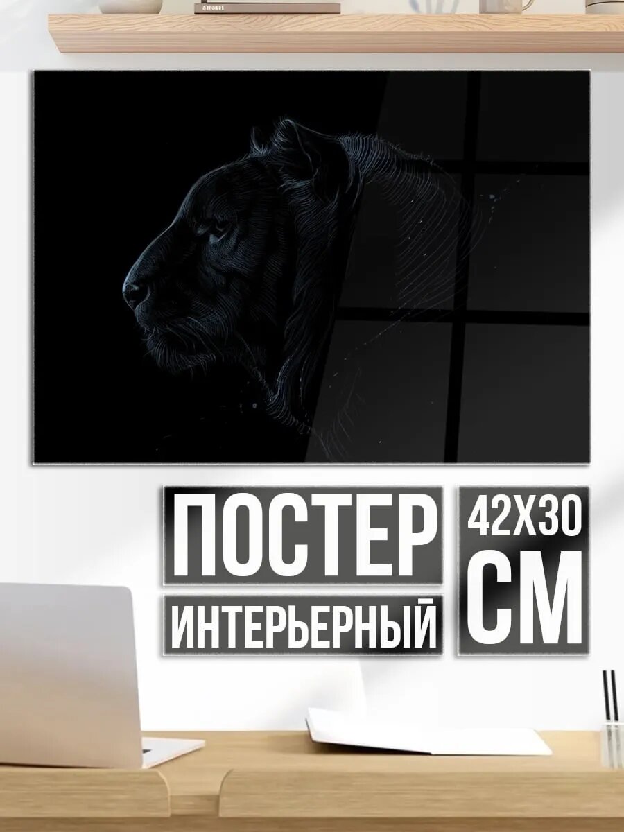 Плакат постер Черная пантера
