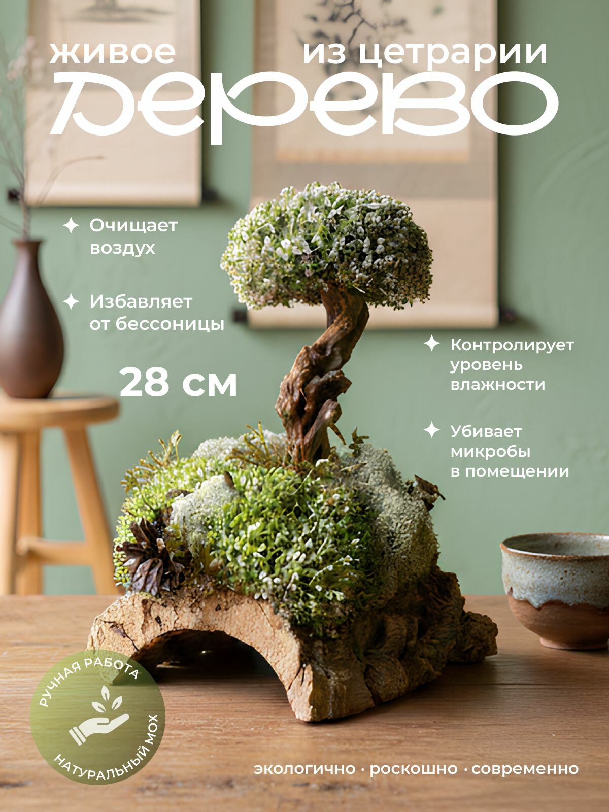 Живое Дерево интерьерное из исландского мха цетрария 24.5см