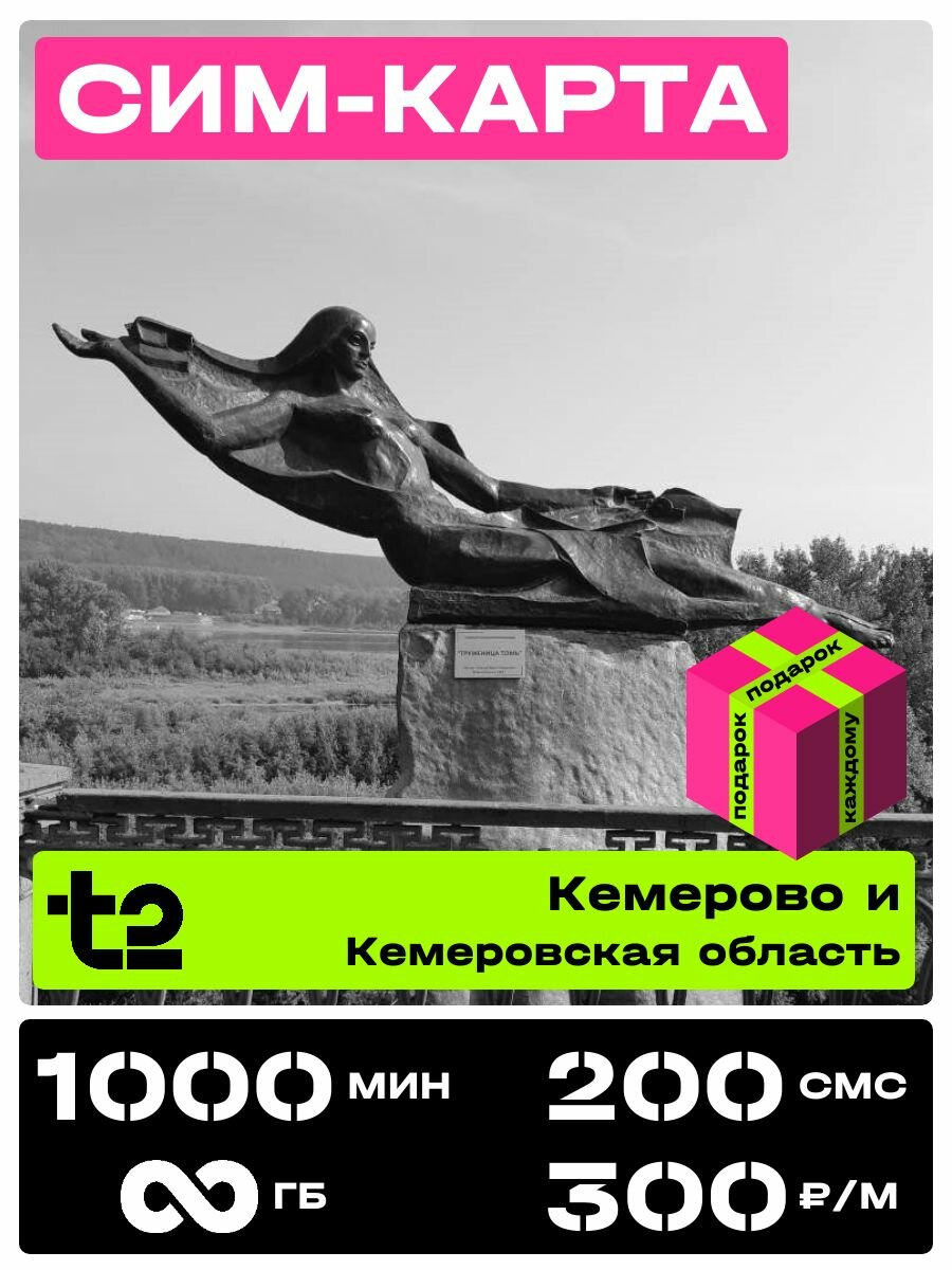 Сим карта теле 2 с безлимитным интернетом. t2 SIM-карта тариф Партнер М Кемеровская область. 1000 минут за 300 рублей в месяц.