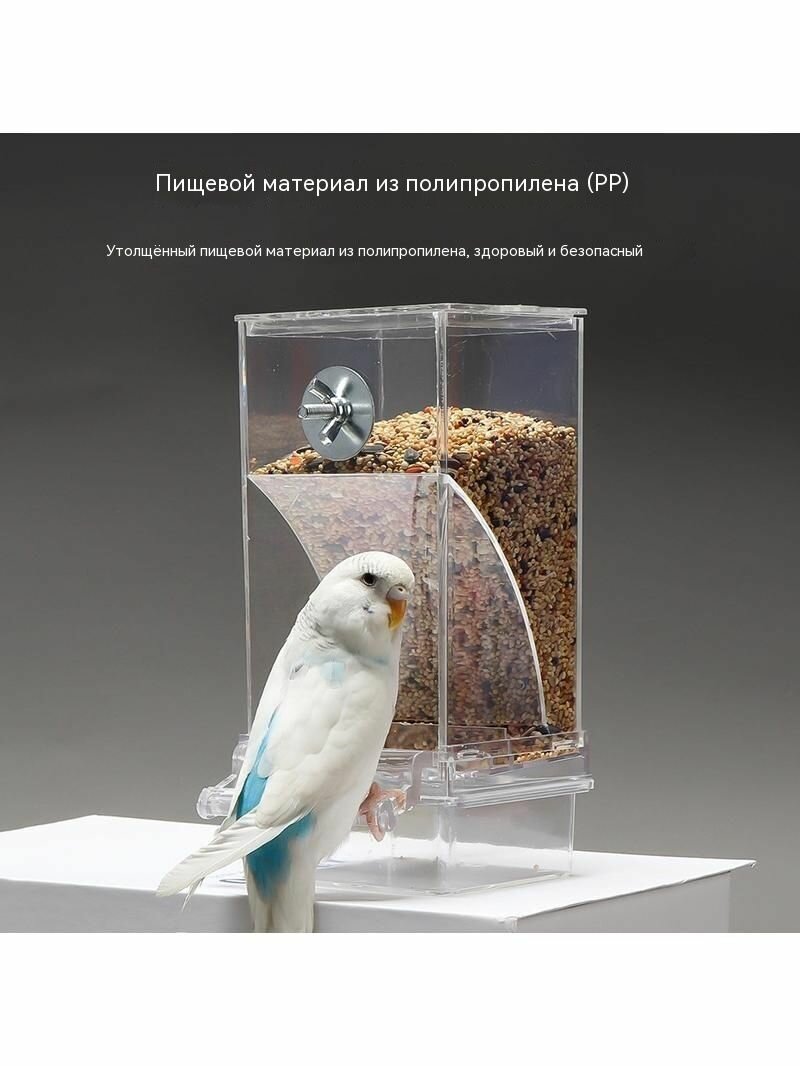 Прозрачный питатель — фото 1