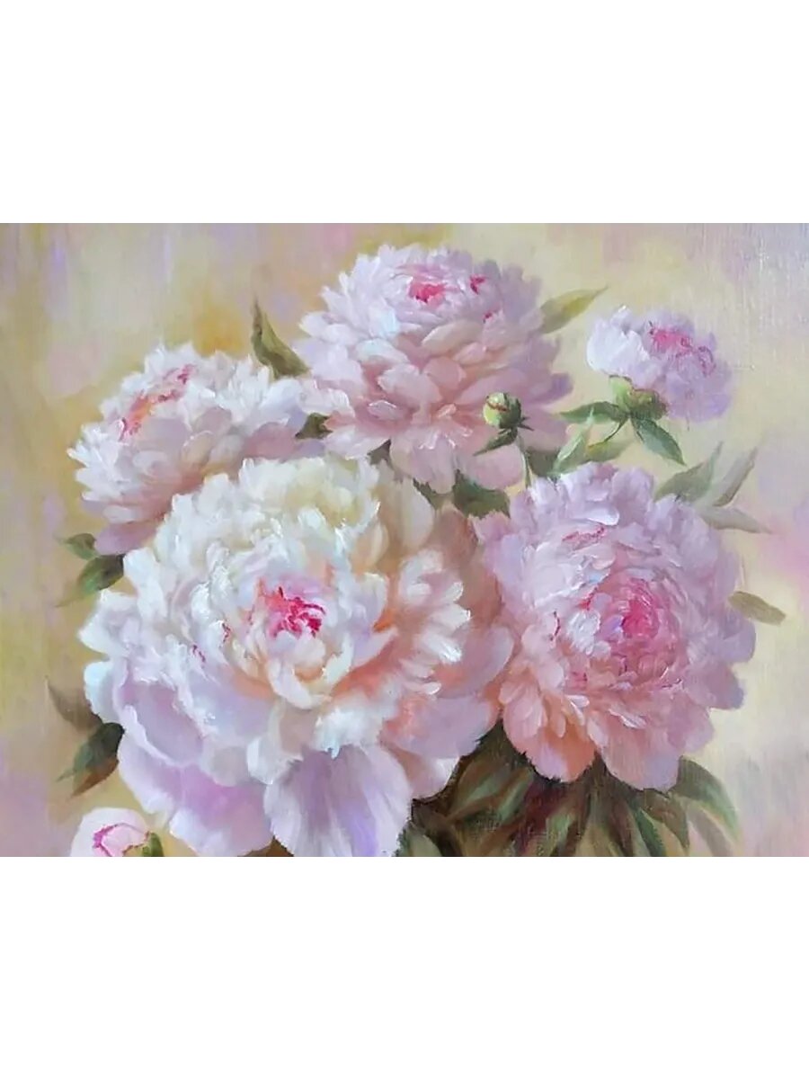 Картина по номера 40х50 Пионы розовые.