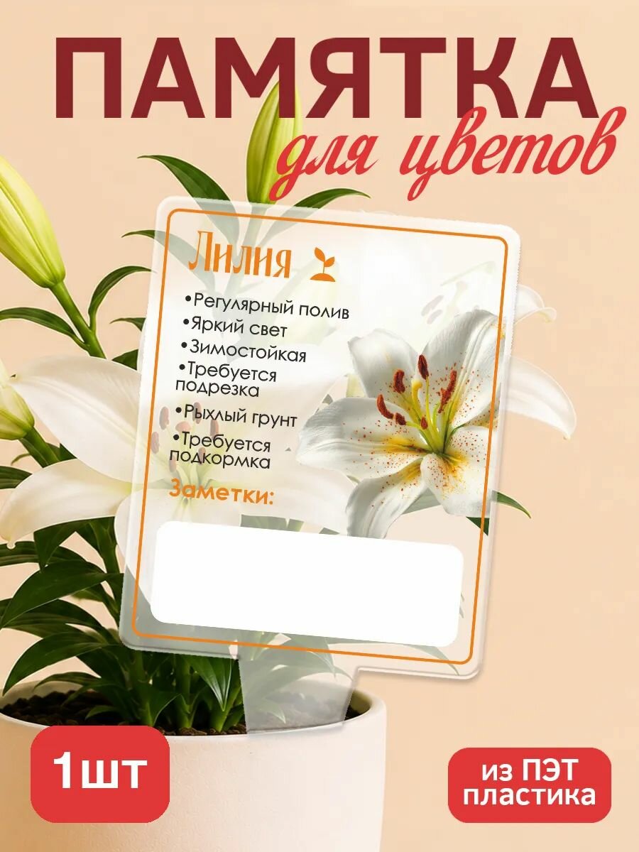 Памятка по уходу за цветами Лилия