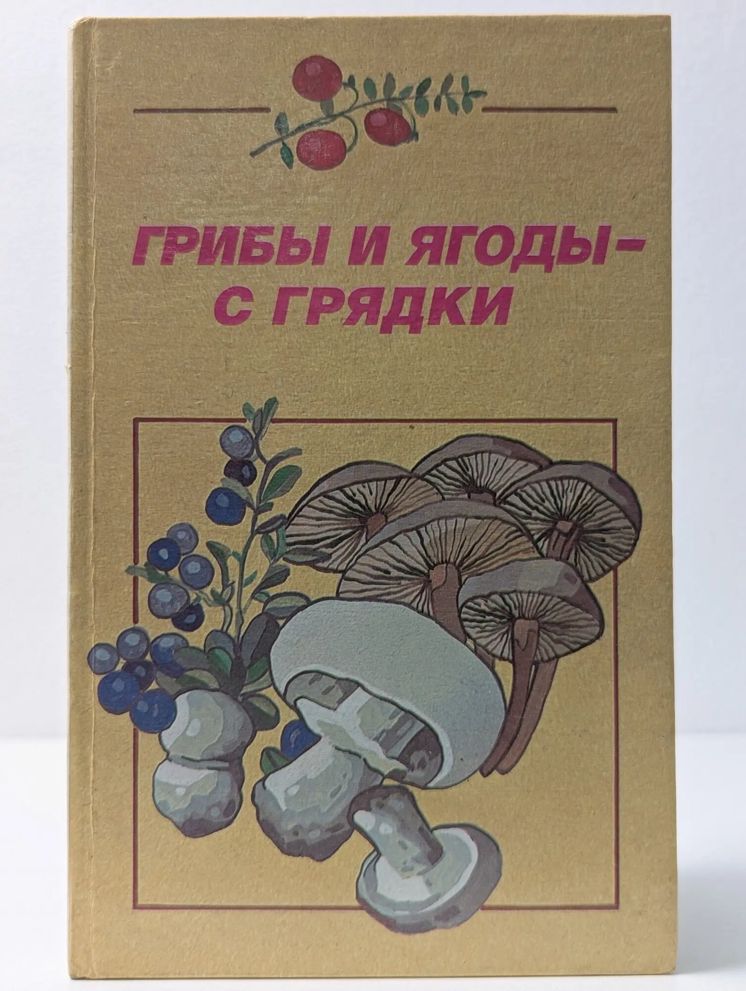 Грибы и ягоды - с грядки Фомина Валентина Ивановна, Волчков Владимир Евтихьевич, Гаврилова Лариса Петровна 1997