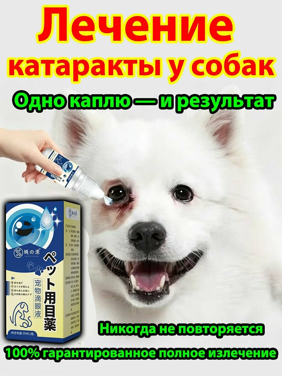 Глазные Японские капли от катаракты глаукомы и собаки кошки