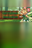 Fairyland: Incursion, Все страны