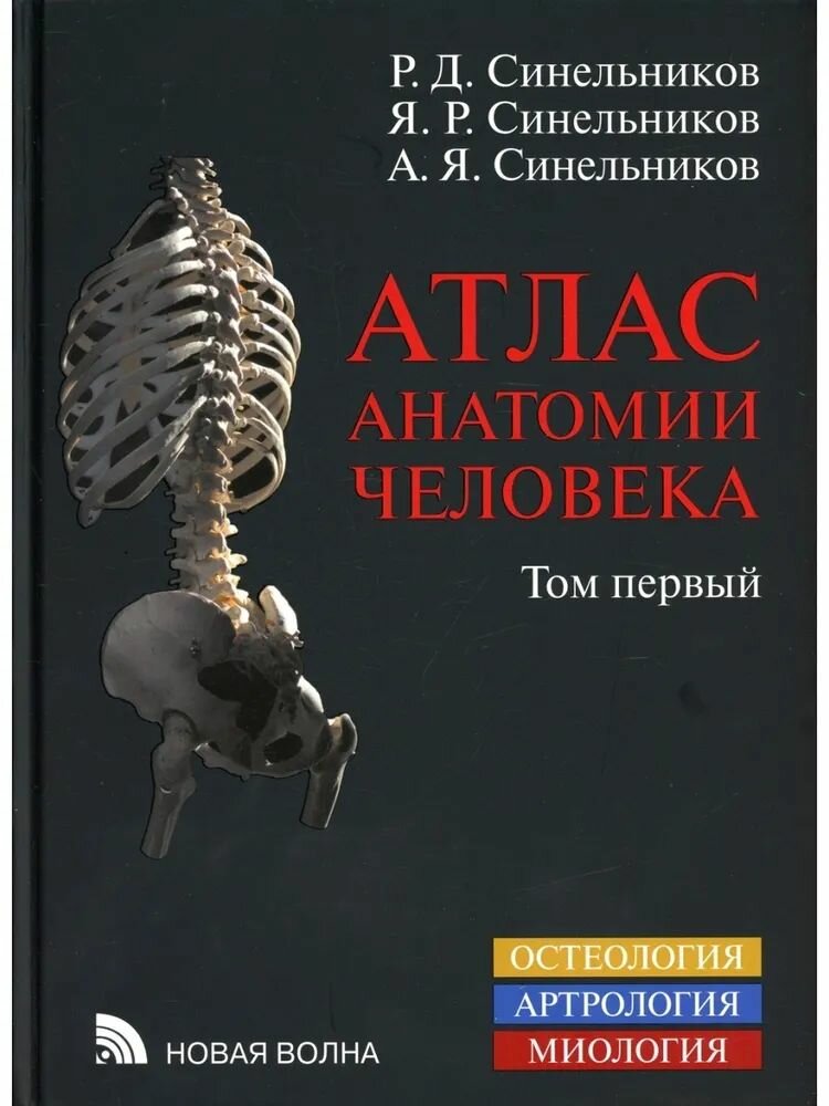 Атлас анатомии человека в 3 томах. Том 1. Учение о костях, соединениях костей и мышцах Синельников Александр Яковлевич, Синельников Яков Рафаилович