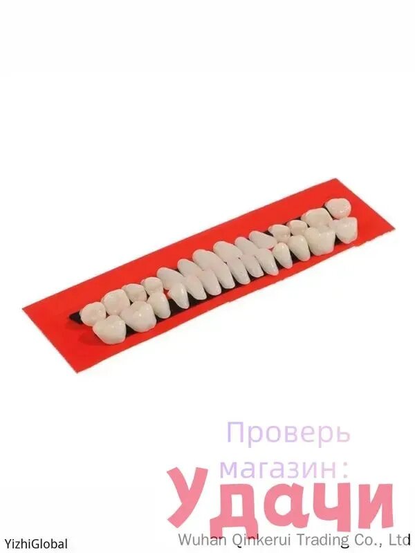 Модель искусственных зубов, 28 шт