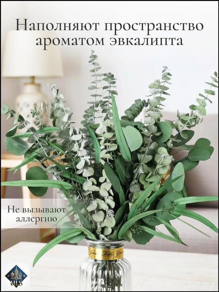 Сухоцветы Яблоня, 42 см — фото 1