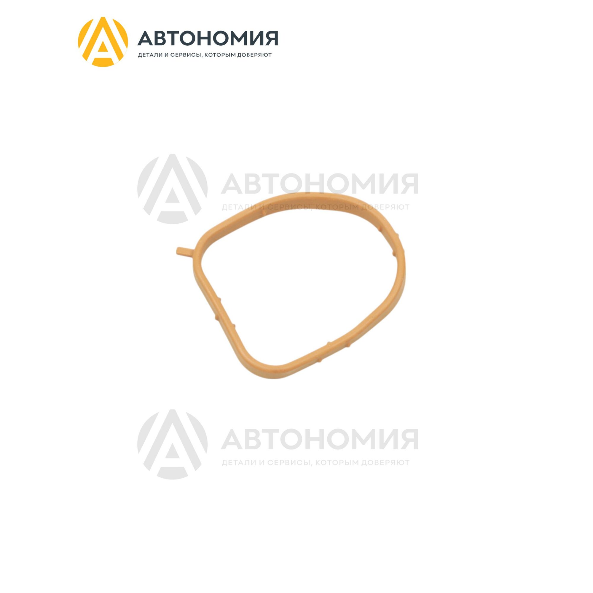 Прокладка водяного насоса Mercedes-Benz A 276 201 02 80