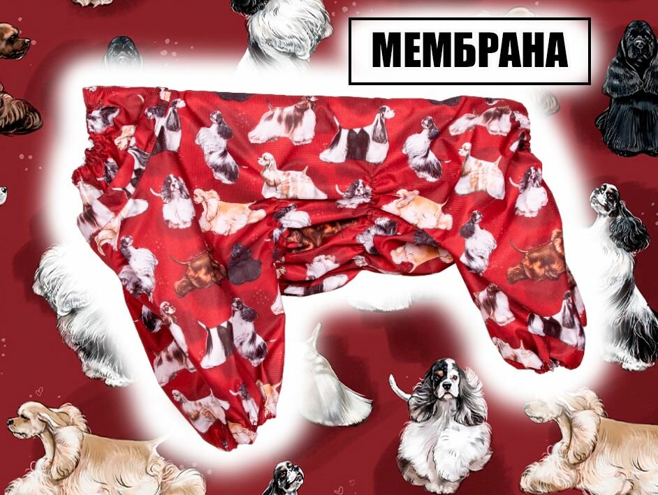 Теплый комбинезон для американского кокер-спаниеля суки, на флисе, мембрана, цвет Американские кокеры (бордо)