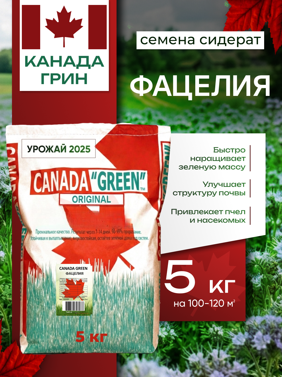 Семена Фацелии Canada Green 5 кг, сидерат для посева