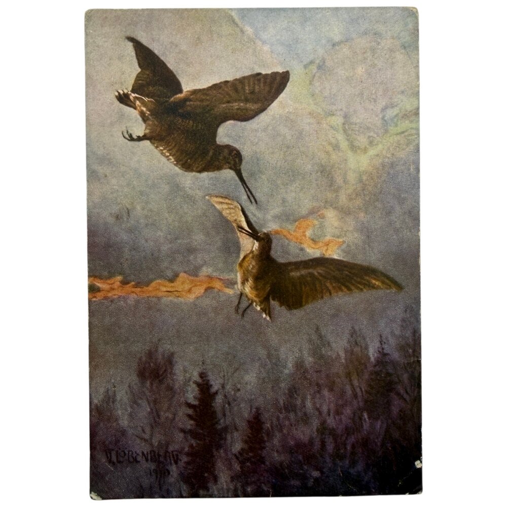 Почтовая открытка "Лёбенберг - Тяга" 1900-1914 гг. Ришар, Российская Империя