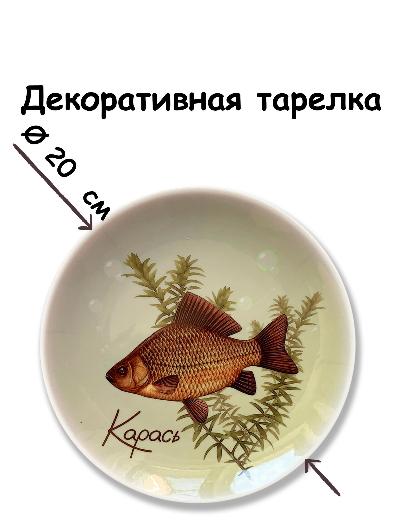 Декоративная настенная тарелка с изображением карася