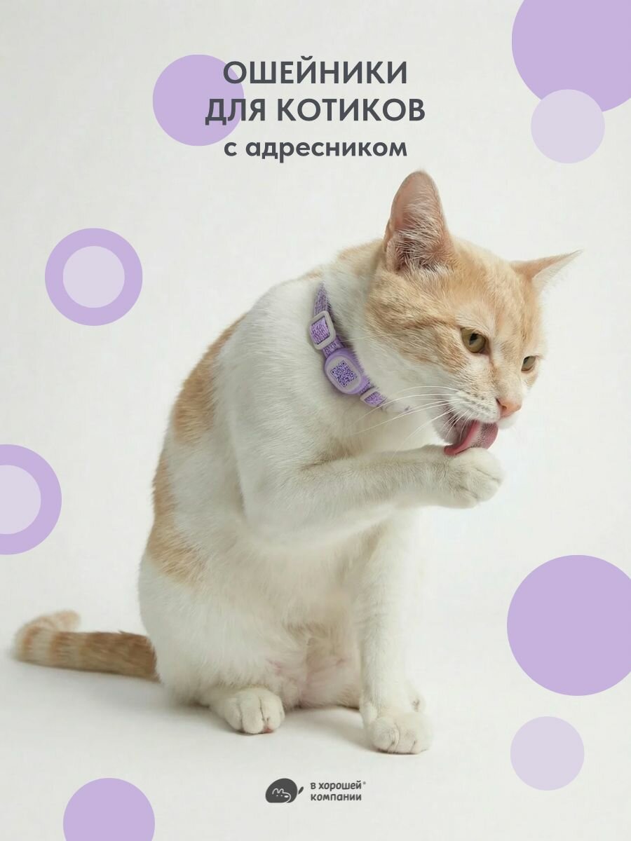 Ошейник с адресником для котов IN GOOD COMPANY В хорошей компании (XS / Фиолетово / стропа)