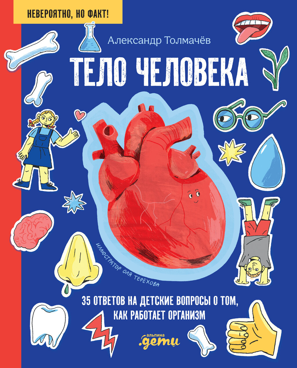 Тело человека: 35 ответов на детские вопросы о том, как работает организм (электронная книга)