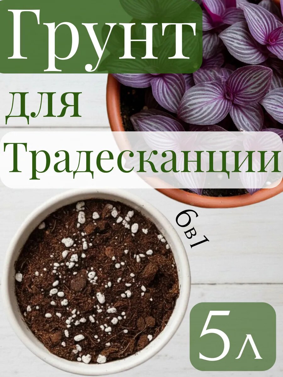 Готовый грунт для Традесканции 5 литров