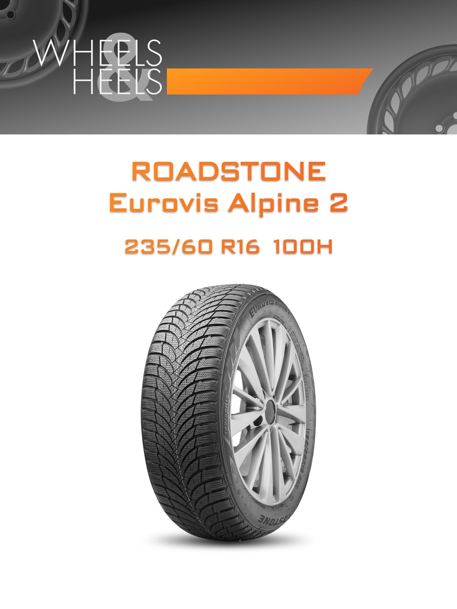 Шина автомобильная Roadstone Eurovis Alpine 2 235/60 R16 100H WINTER, зимняя, универсальная