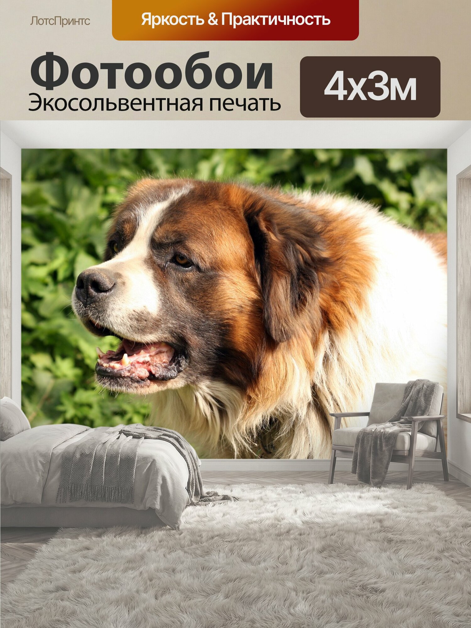Фотообои "Собака, бернард, сенбернар" 400x300 см. экосольвентная печать