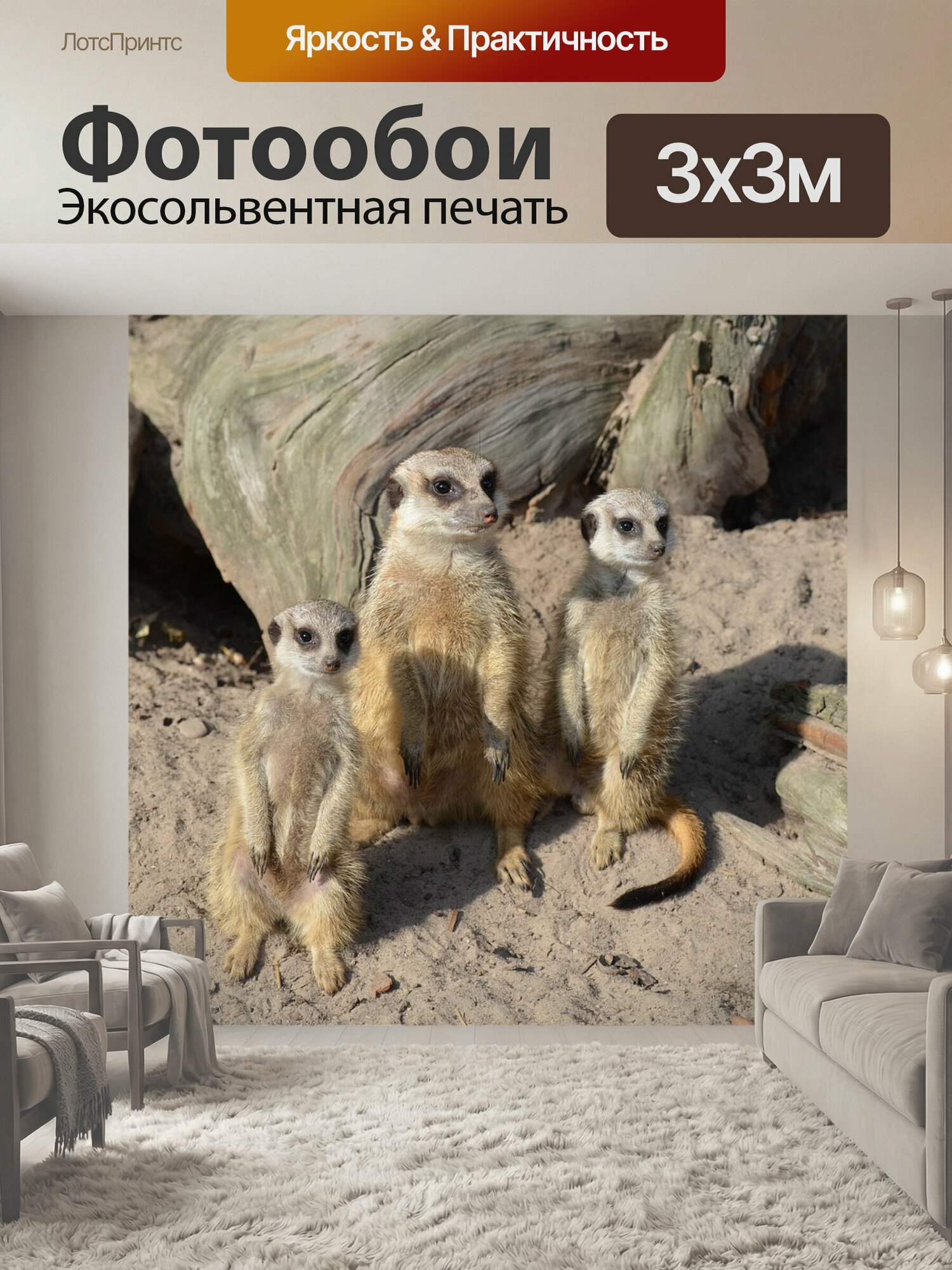 Фотообои "Сурикат, зоопарк, милый" 300x300 см. экосольвентная печать