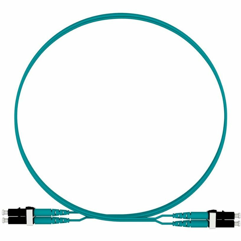 Патч-корд Panduit FZ2ELLNLNSNM001 1м нет зелёный