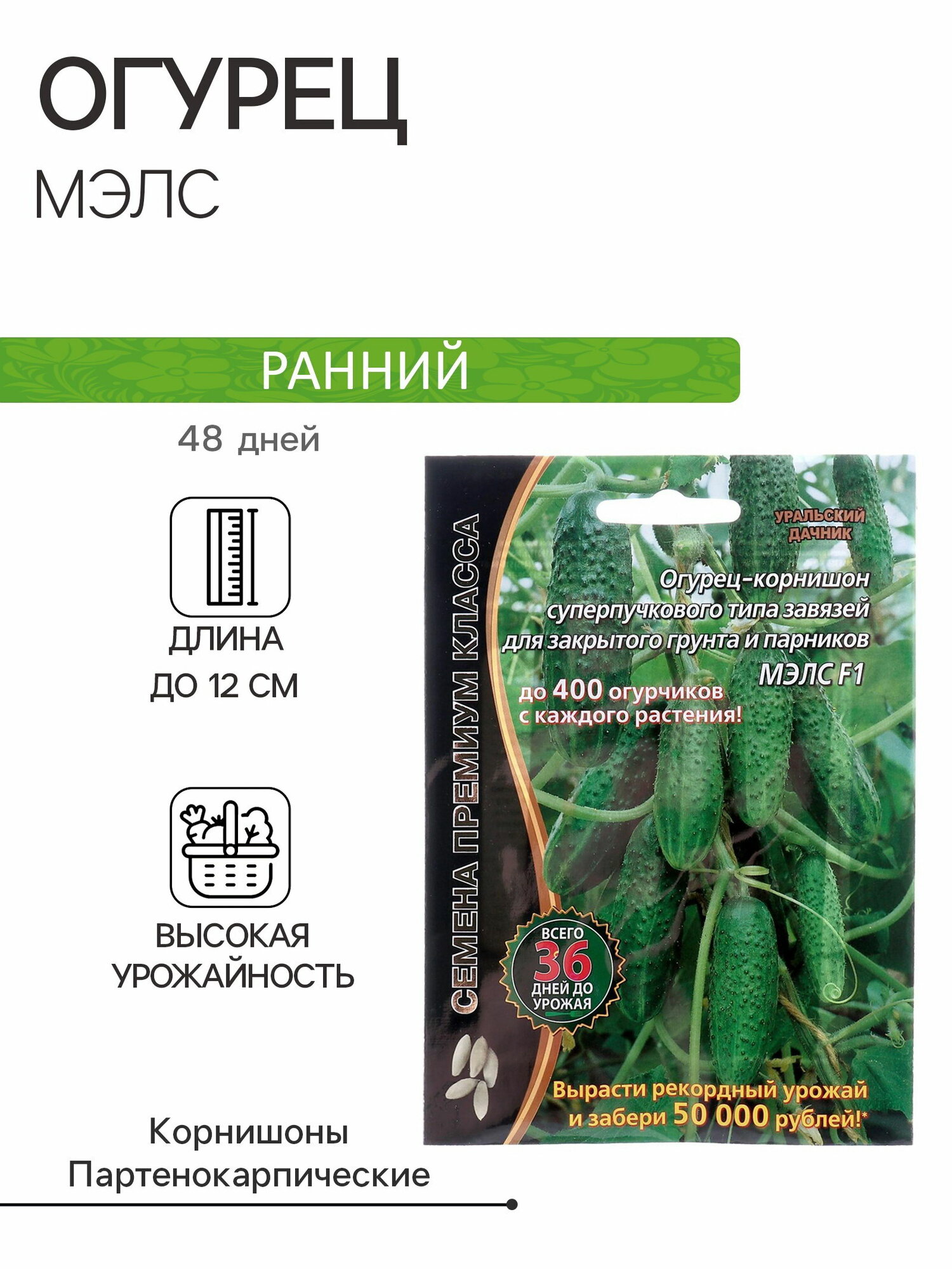 Семена огурец корнишон "Мэлс", F1, партенокарпический, 5 шт, "Уральский дачник"