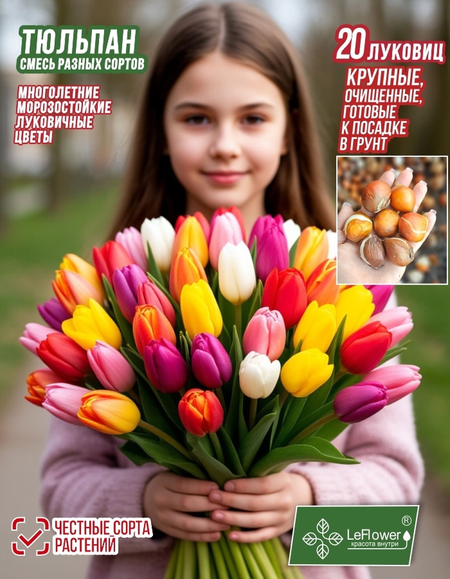 Тюльпаны LeFlower, многолетние, упаковка 20 штук, 1 упаковка