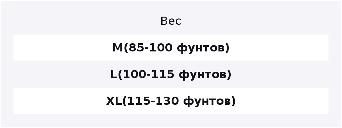 Трусы Dickies, размер XL (115-130 фунтов) — фото 1