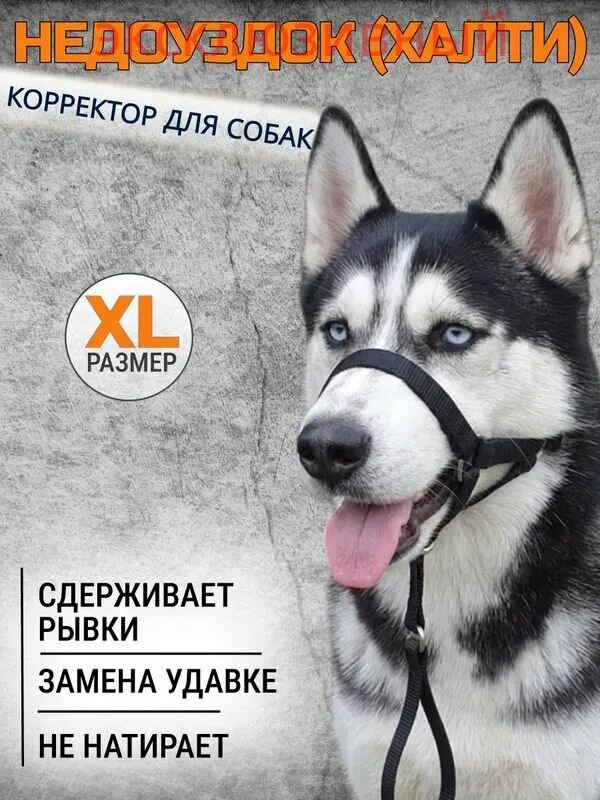 Намордник халти для собак крупных, средних, мелких пород / Недоуздок