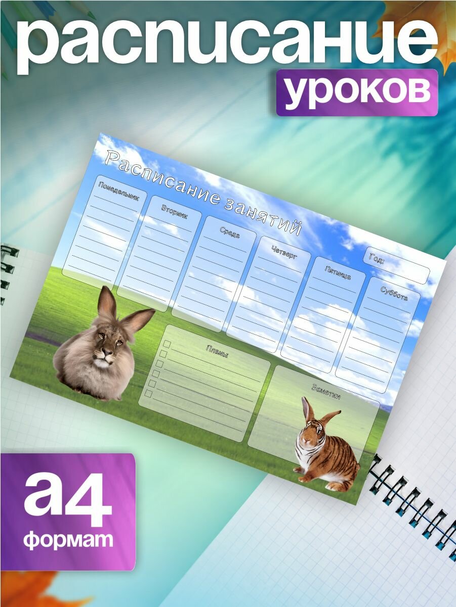 Расписание уроков канцелярия для школы "черемша мем"