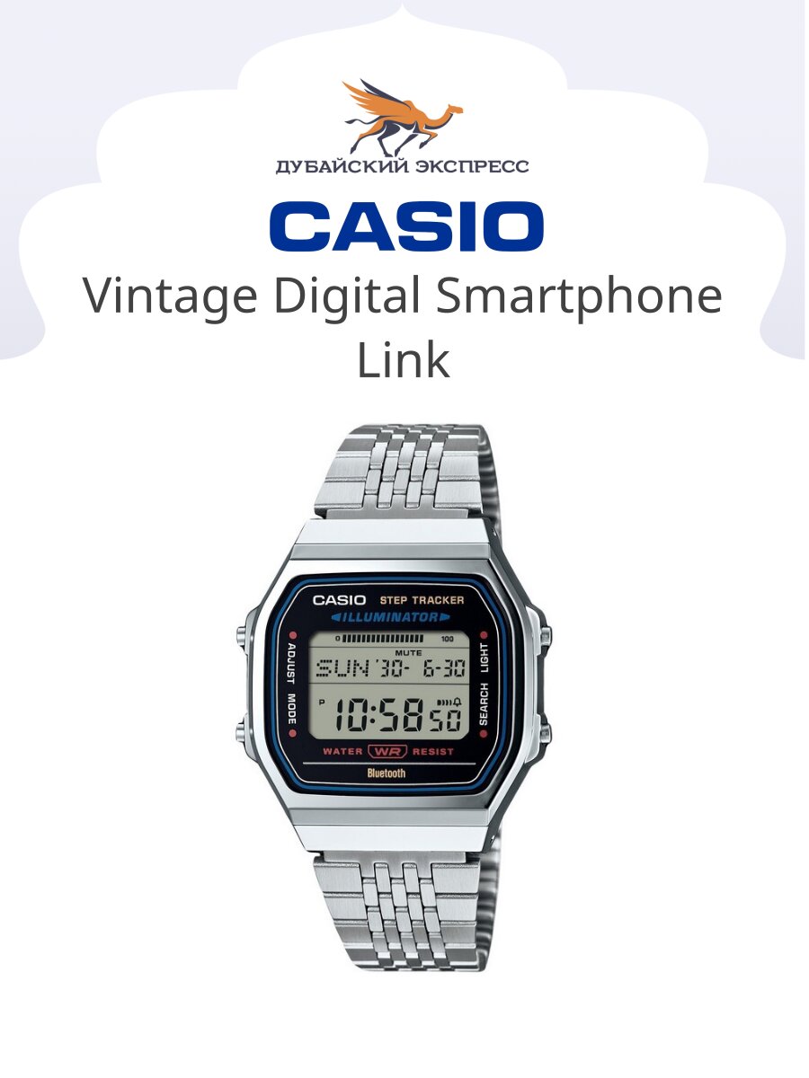  CASIO