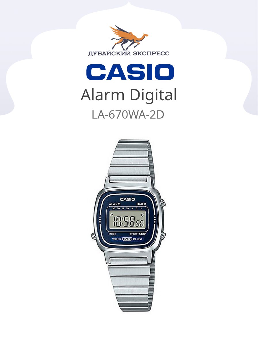  CASIO