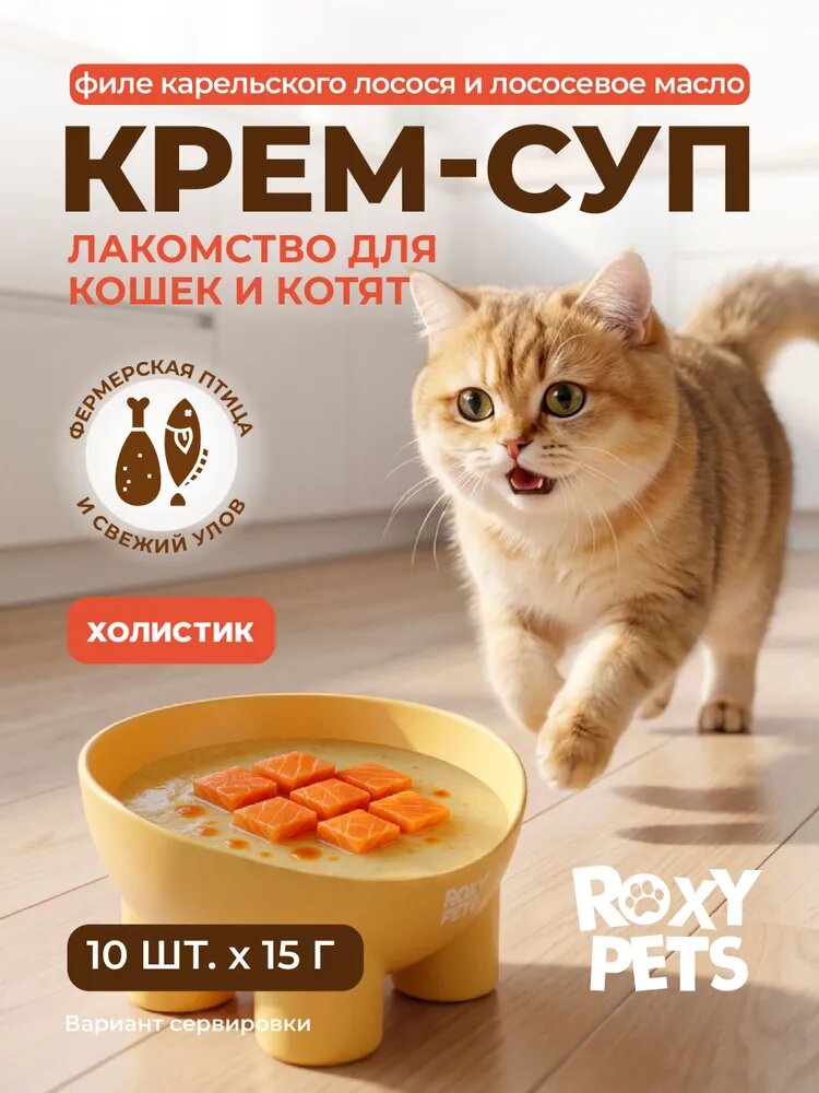 ROXY-PETS Крем суп для кошек лакомство из филе карельского лосося и лососевого масла, 1 уп из 10 шт
