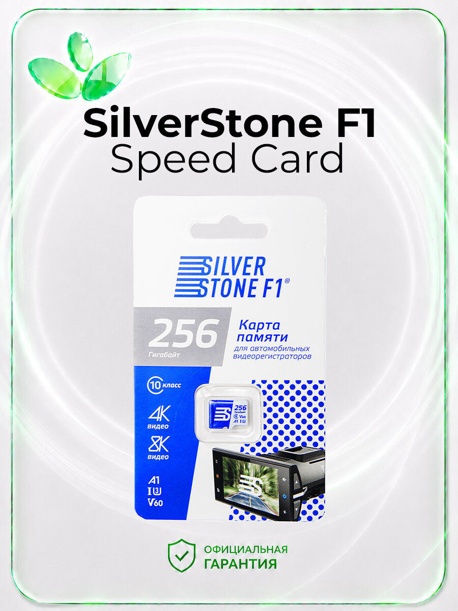 Карта памяти SilverStone F1 Speed Card, 256 Гб