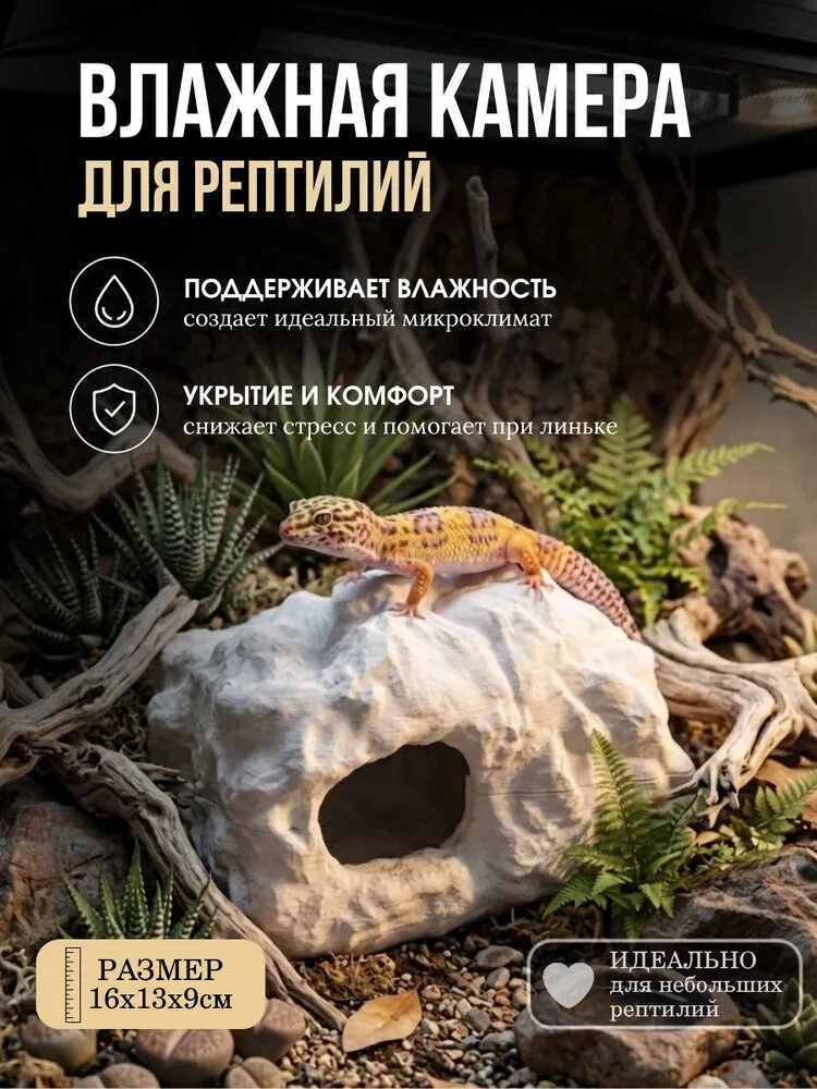 Влажная камера для террариума, укрытие для рептилий и эублефара, домик грот для линьки, белая