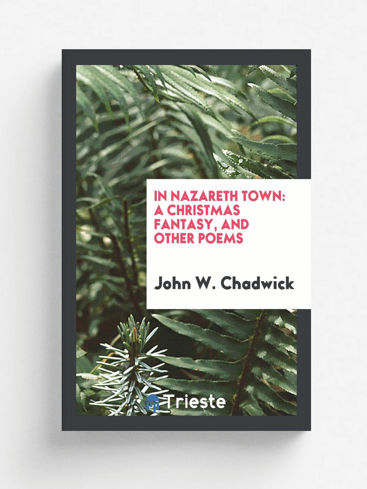 In Nazareth Town. A Christmas Fantasy, and Other Poems