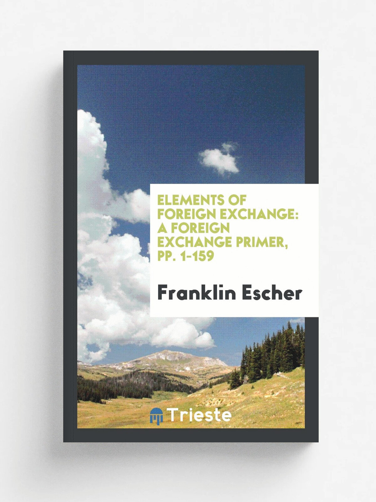 Elements of Foreign Exchange. A Foreign Exchange Primer, pp. 1-159