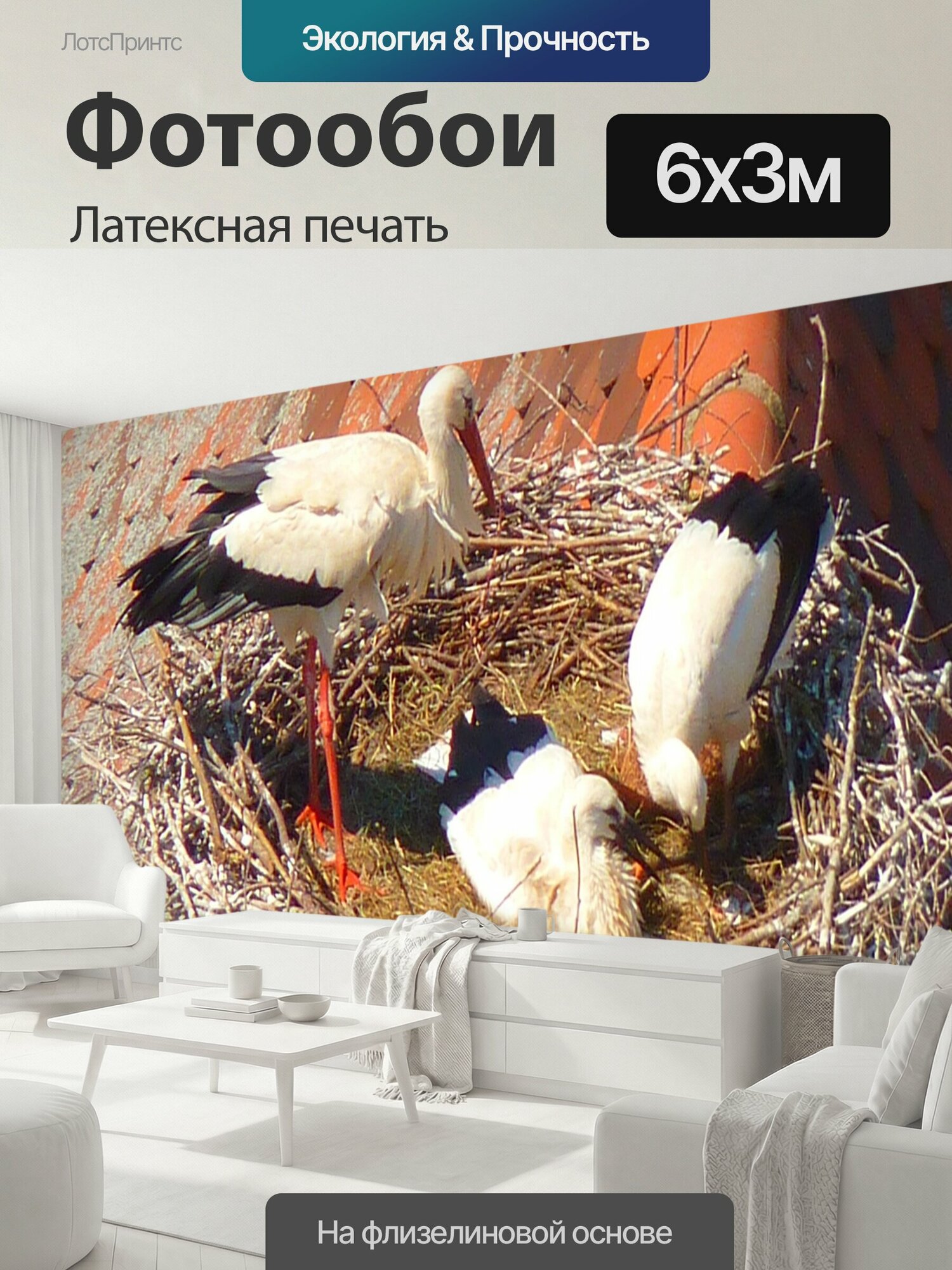 Фотообои моющиеся ударопрочные "Аист, аисты, птицы" 600x300 см. латексная печать