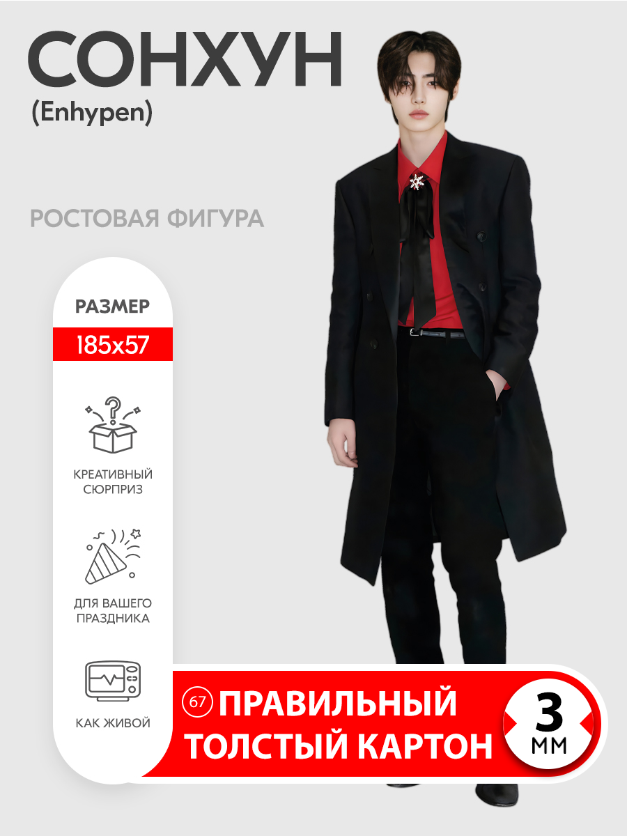 Аксессуар для фотосессий, Сонхун (Enhypen) 2, ростовая фигура