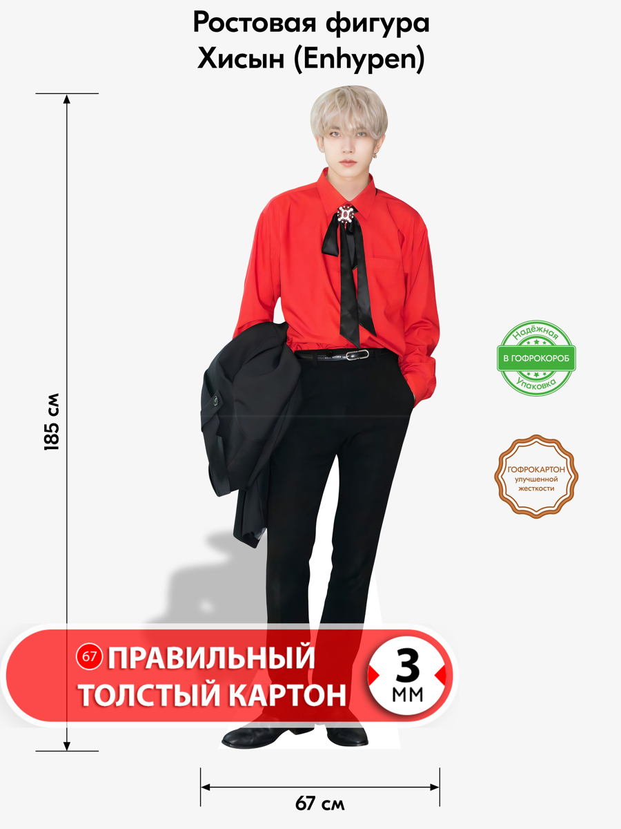 Аксессуар для фотосессий, Хисын (Enhypen) 2, ростовая фигура