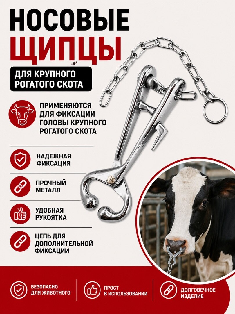 Щипцы носовые для фиксации головы КРС с цепочкой, 1 штука