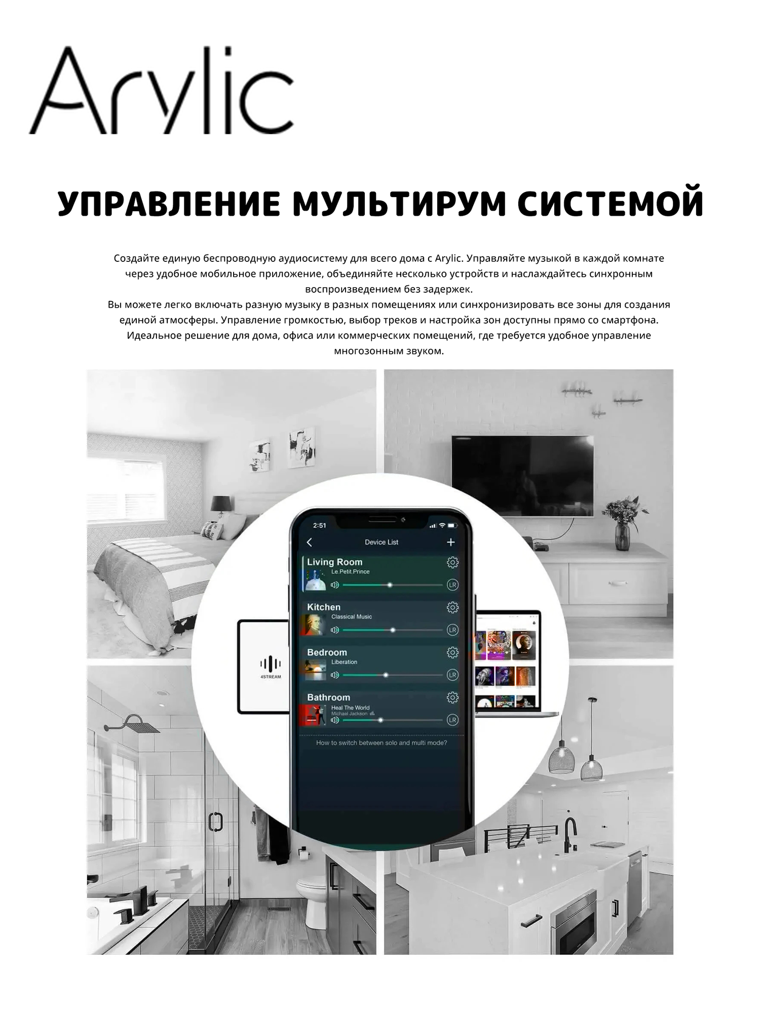 Arylic Pro V3 V4 DIY аудио модуль — фото 1