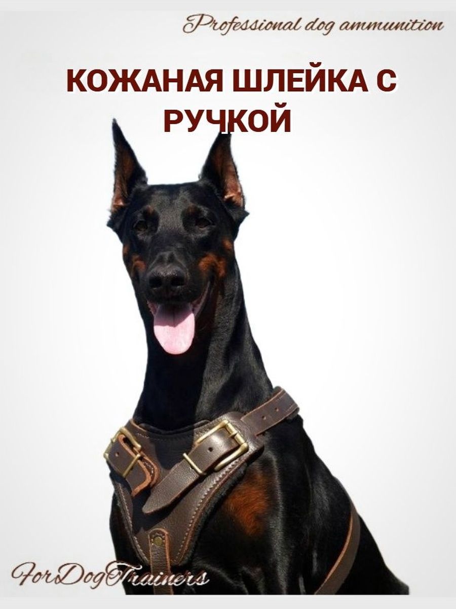 Кожаная шлейка для собак с ручкой