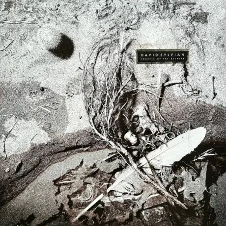Виниловая пластинка David Sylvian – Secrets Of The Beehive