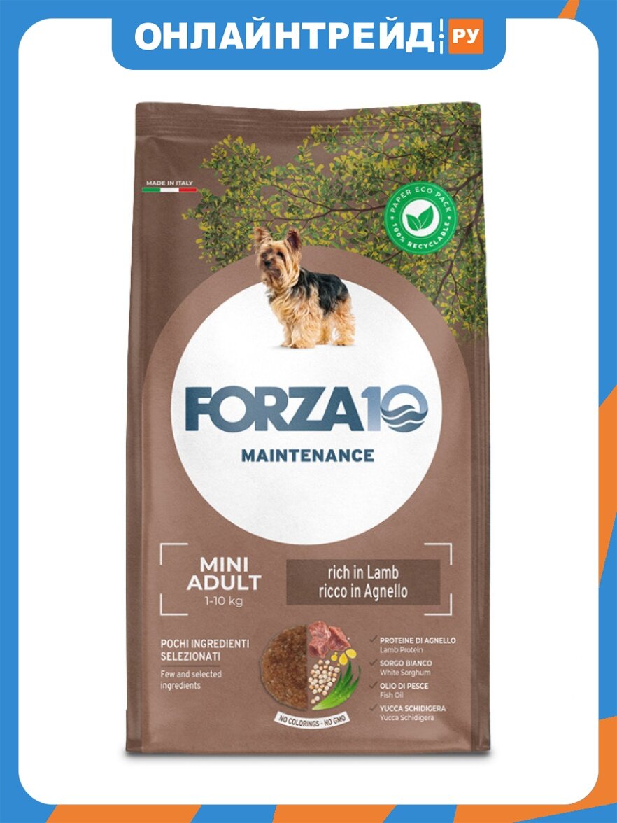 Корм сухой FORZA10 Maintenance Small/Medium для взрослых собак мелких пород из ягненка с рисом, 2 кг