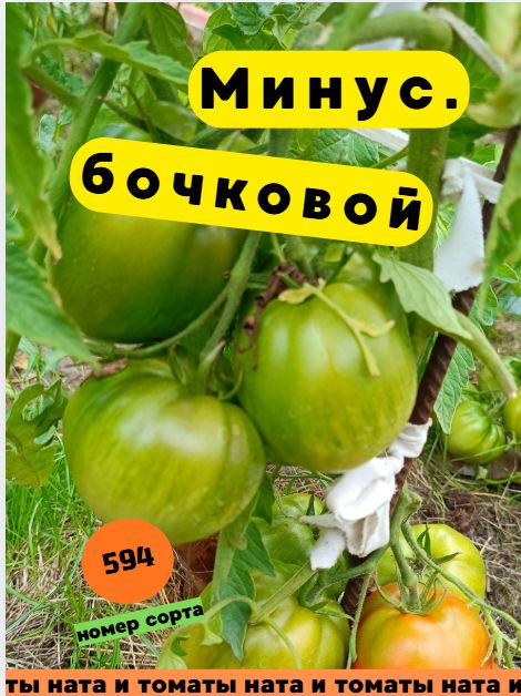 Семена томата Минусинский бочковой, Коллекционный сорт 10 шт
